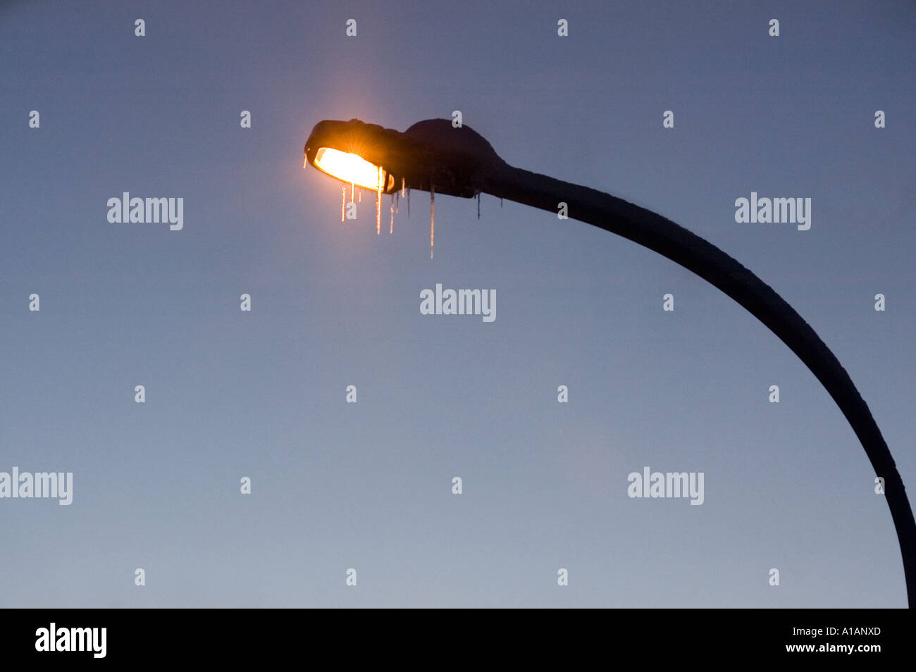 frozen lamppost at dusk Stock Photo - Alamy