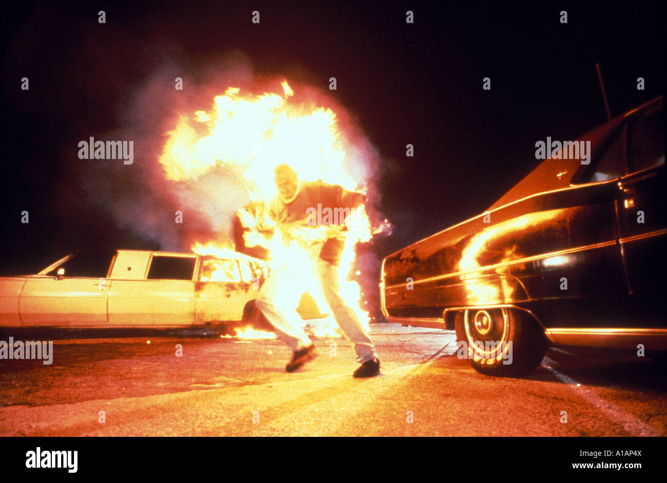 The Dangerous Year 1994 Director Rod Hewitt Stock Photo - Alamy