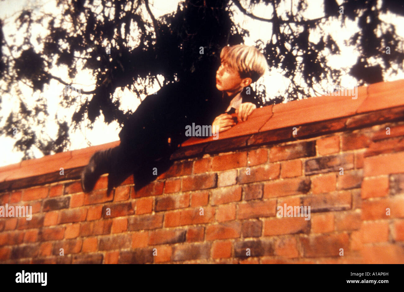 Danny The Champion of the World Year 1990 Director Gavin Millar Samuel ...