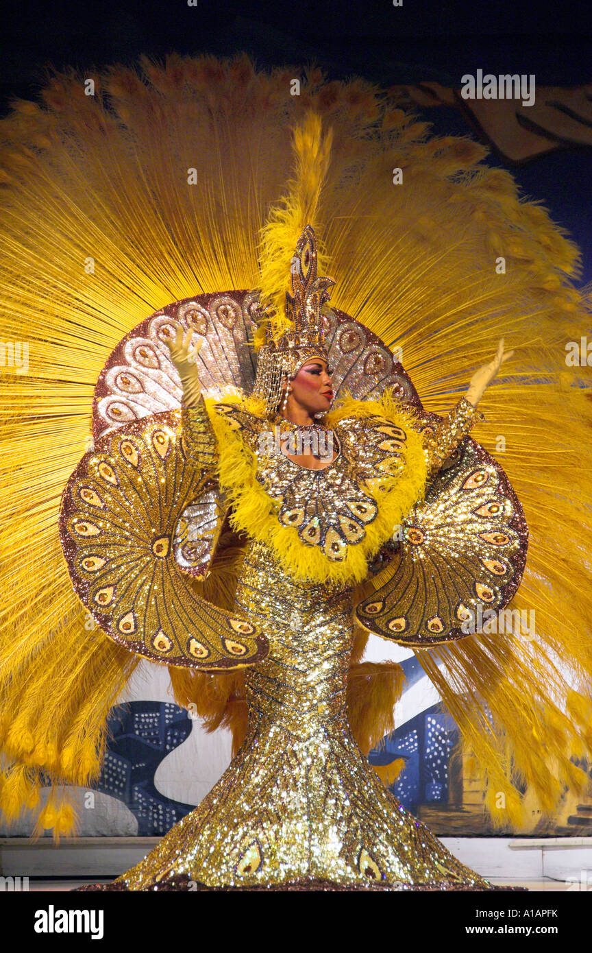 Colorful Samba dancers perform at a Samba Show in Rio De Janeiro Brazil ...