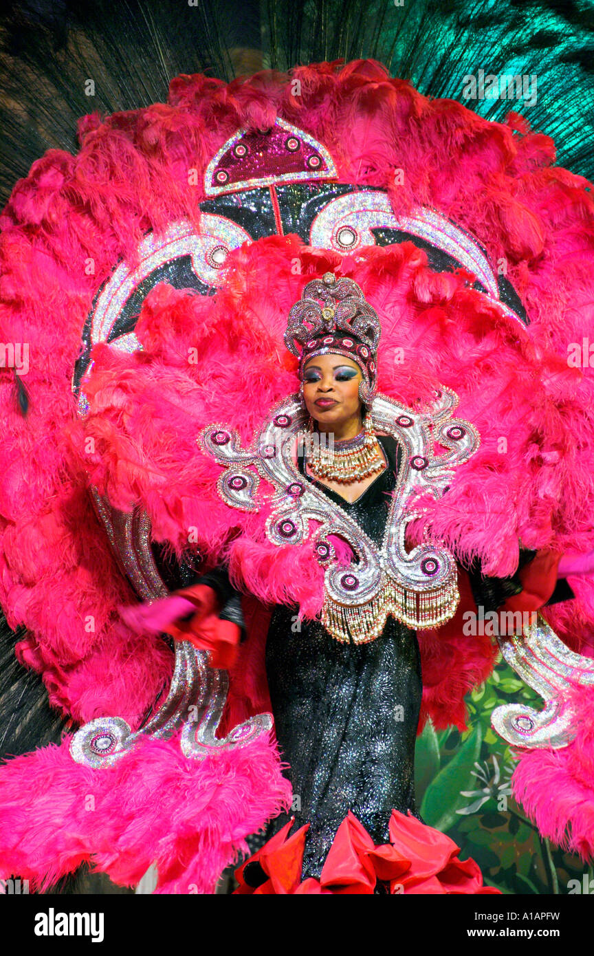 Colorful Samba dancers perform at a Samba Show in Rio De Janeiro Brazil ...