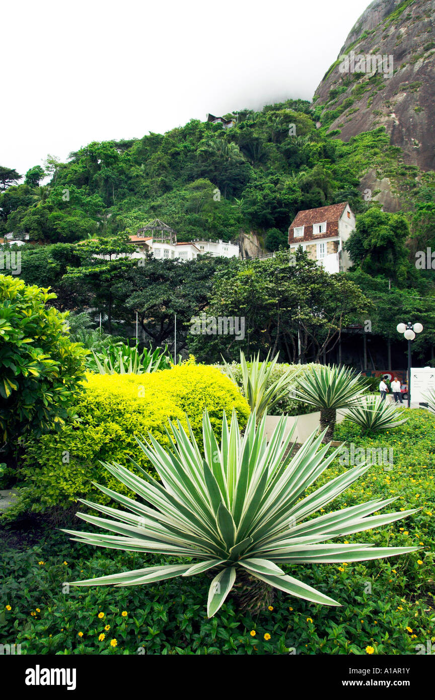 Tropical foliage and a home on the hillside near Rio De Janeiro Brazil ...