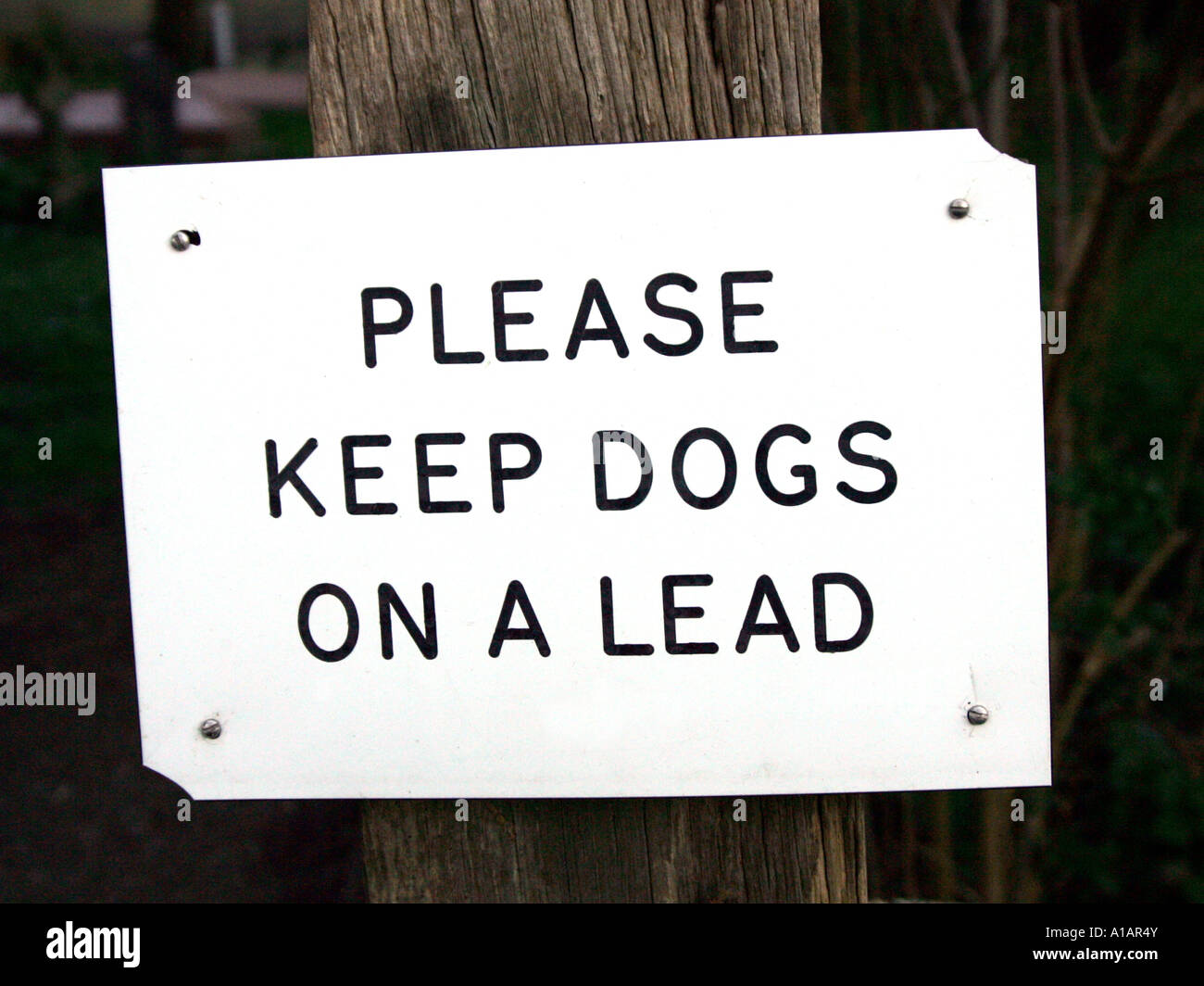 Keep dogs under control hi-res stock photography and images - Alamy