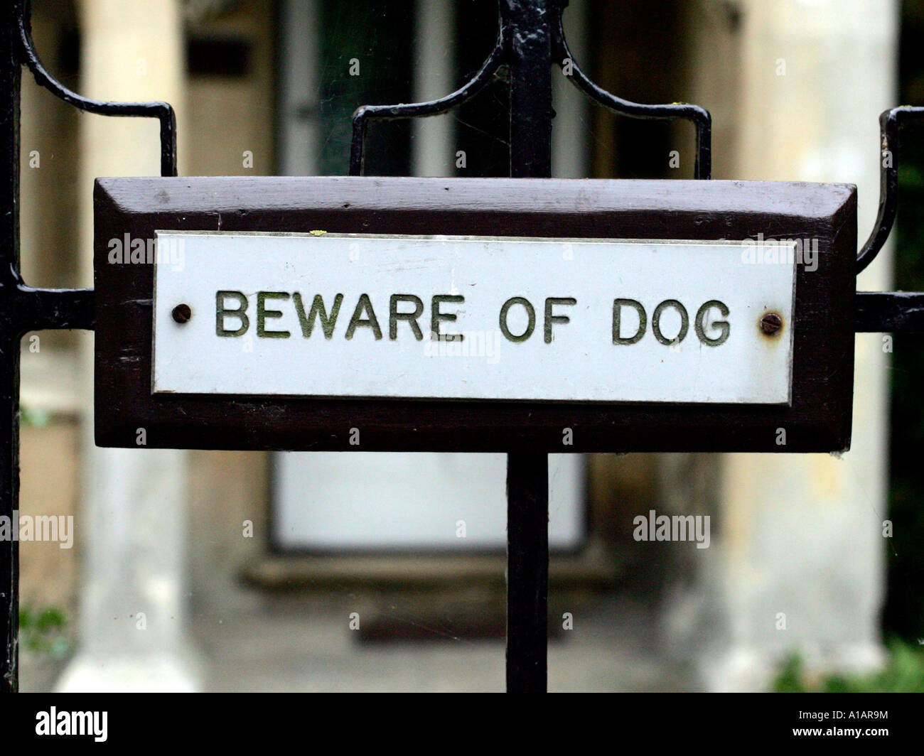 Scary dog hi-res stock photography and images - Alamy