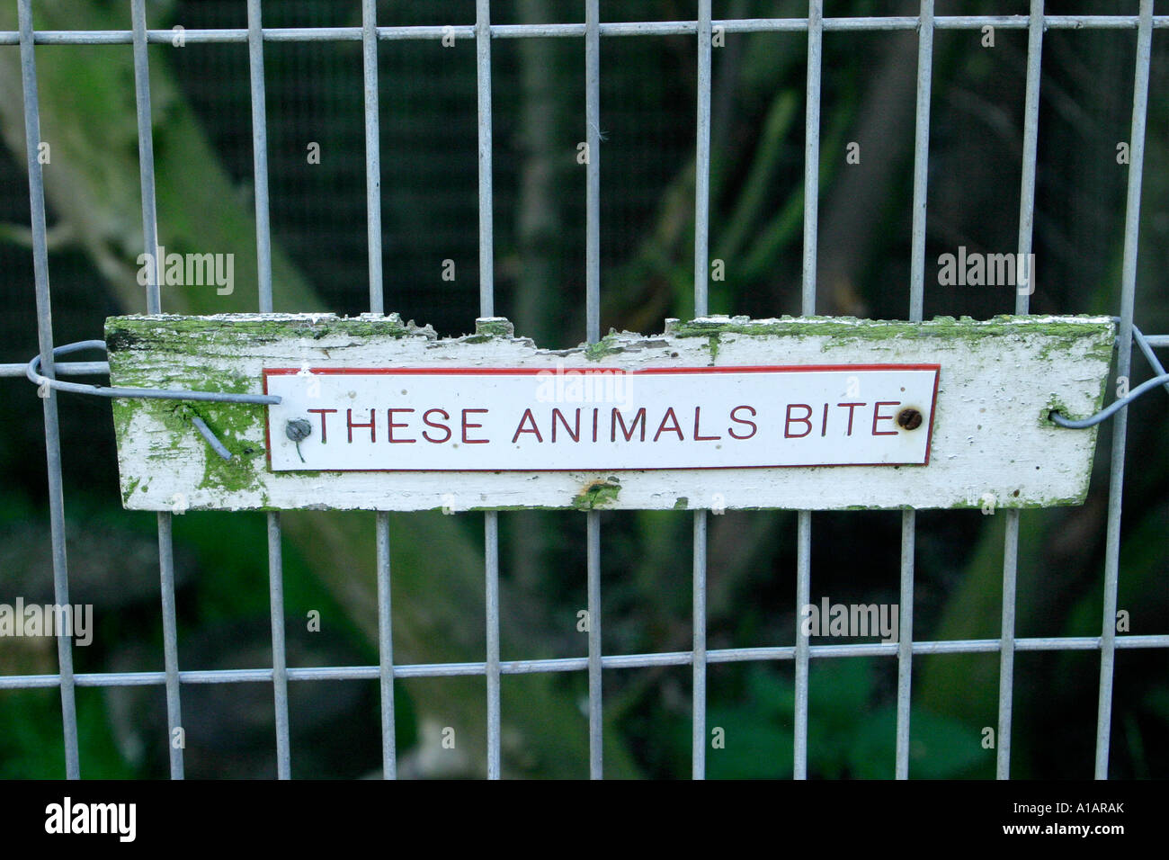 Danger these animals bite warning sign Stock Photo - Alamy
