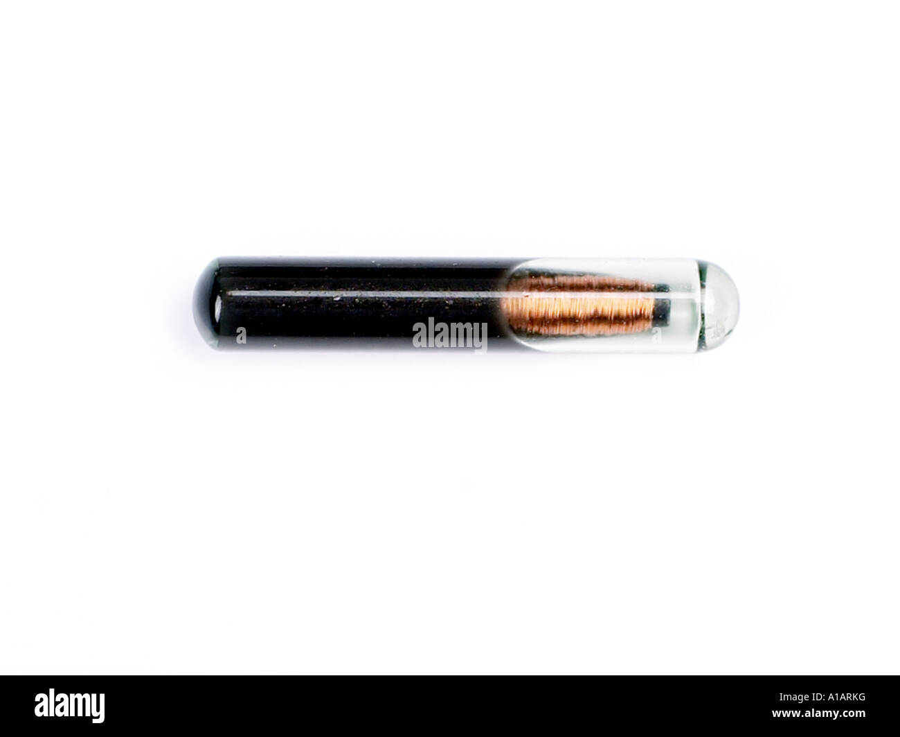 Micro chipped hi-res stock photography and images - Alamy