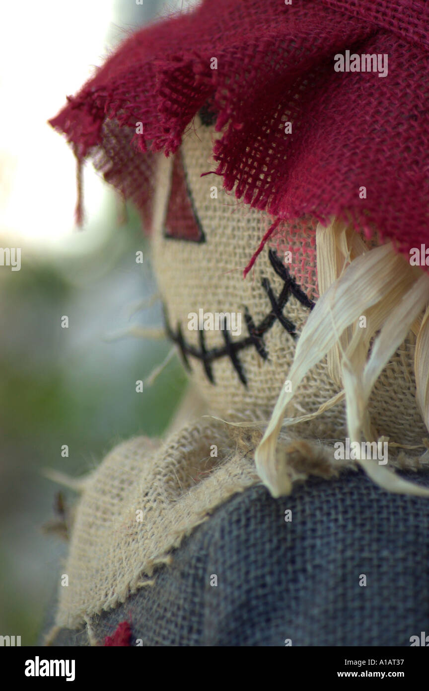Scarecrow headshot hi-res stock photography and images - Alamy