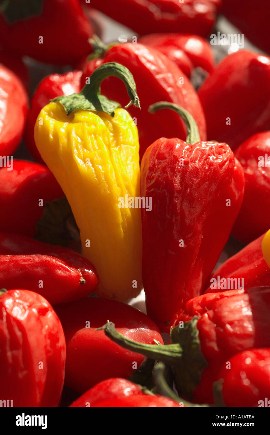 Shriveled orange hi-res stock photography and images - Alamy