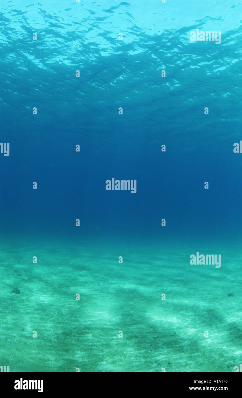 Digitalunderwater hi-res stock photography and images - Alamy