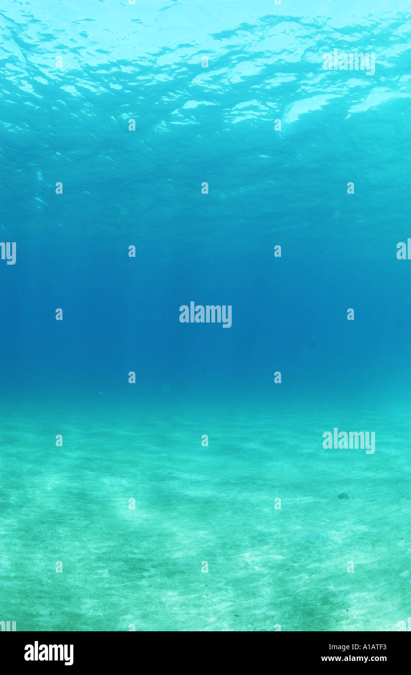 Digitalunderwater hi-res stock photography and images - Alamy
