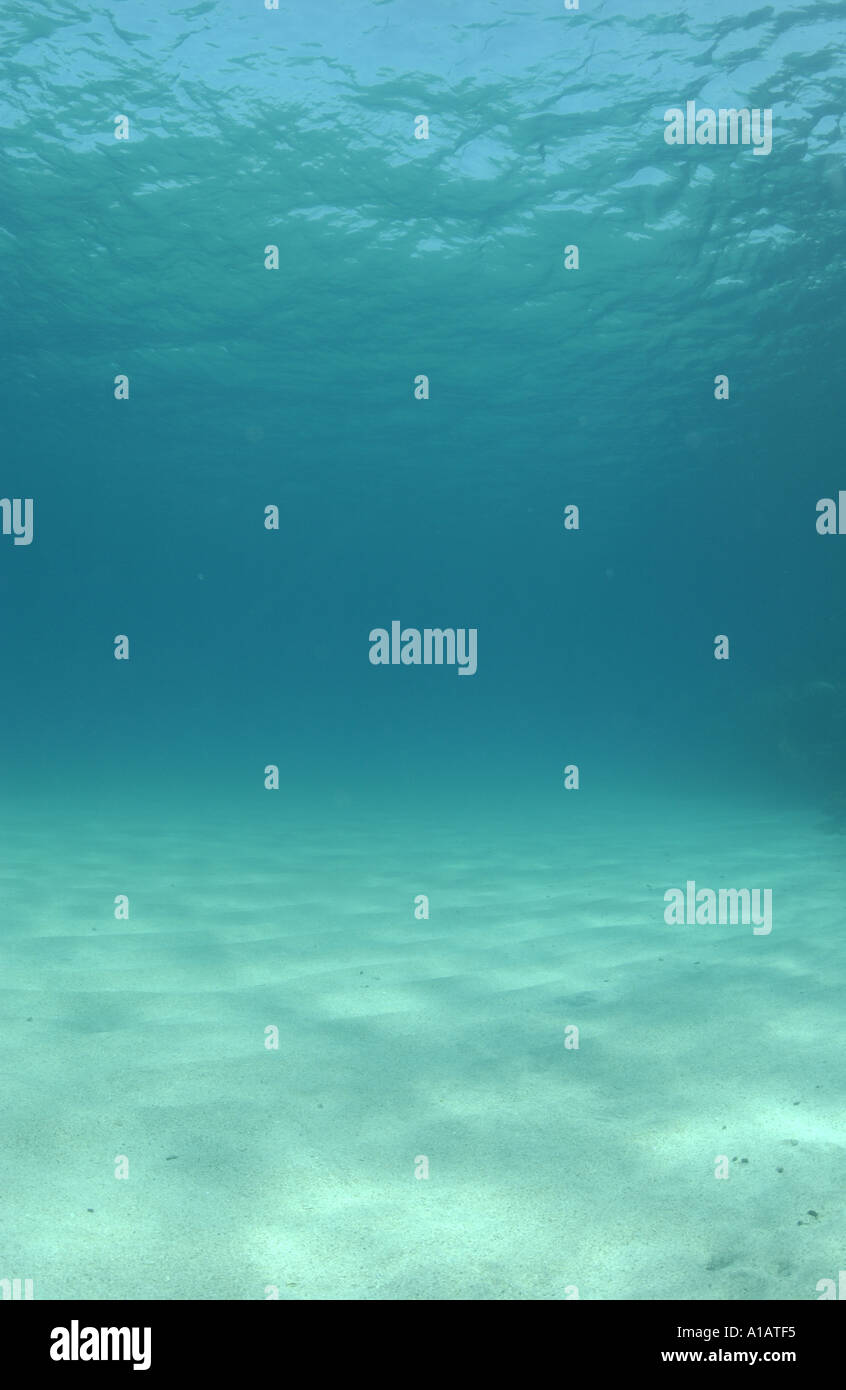 Digitalunderwater hi-res stock photography and images - Alamy