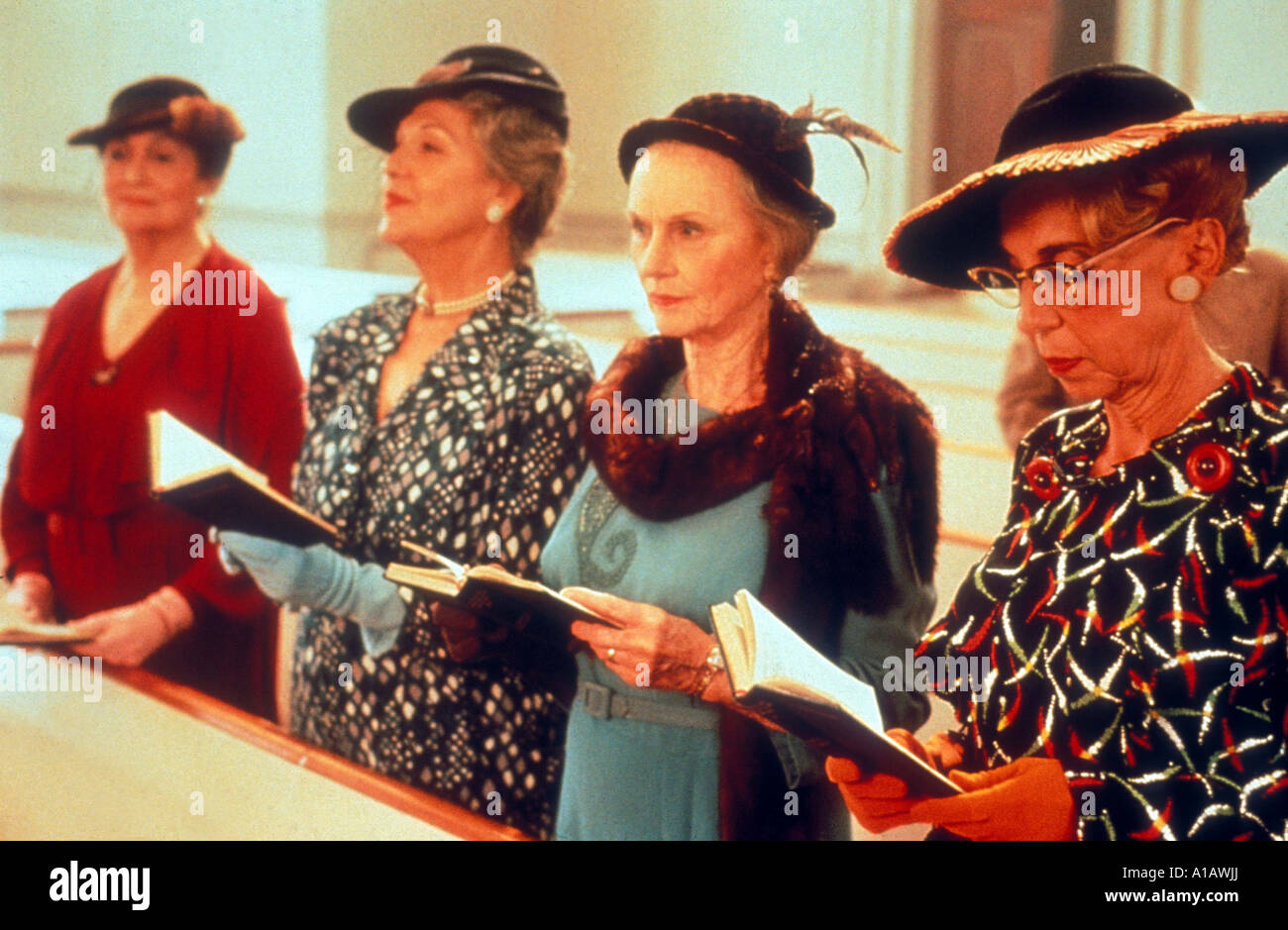 Driving Miss Daisy Year 1989 Director Bruce Beresford Jessica Tandy ...