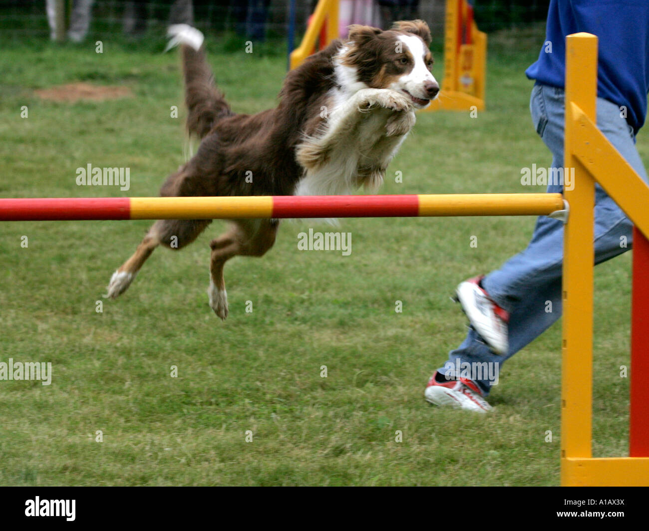 Jumping Over The Bar High Resolution Stock Photography and Images - Alamy