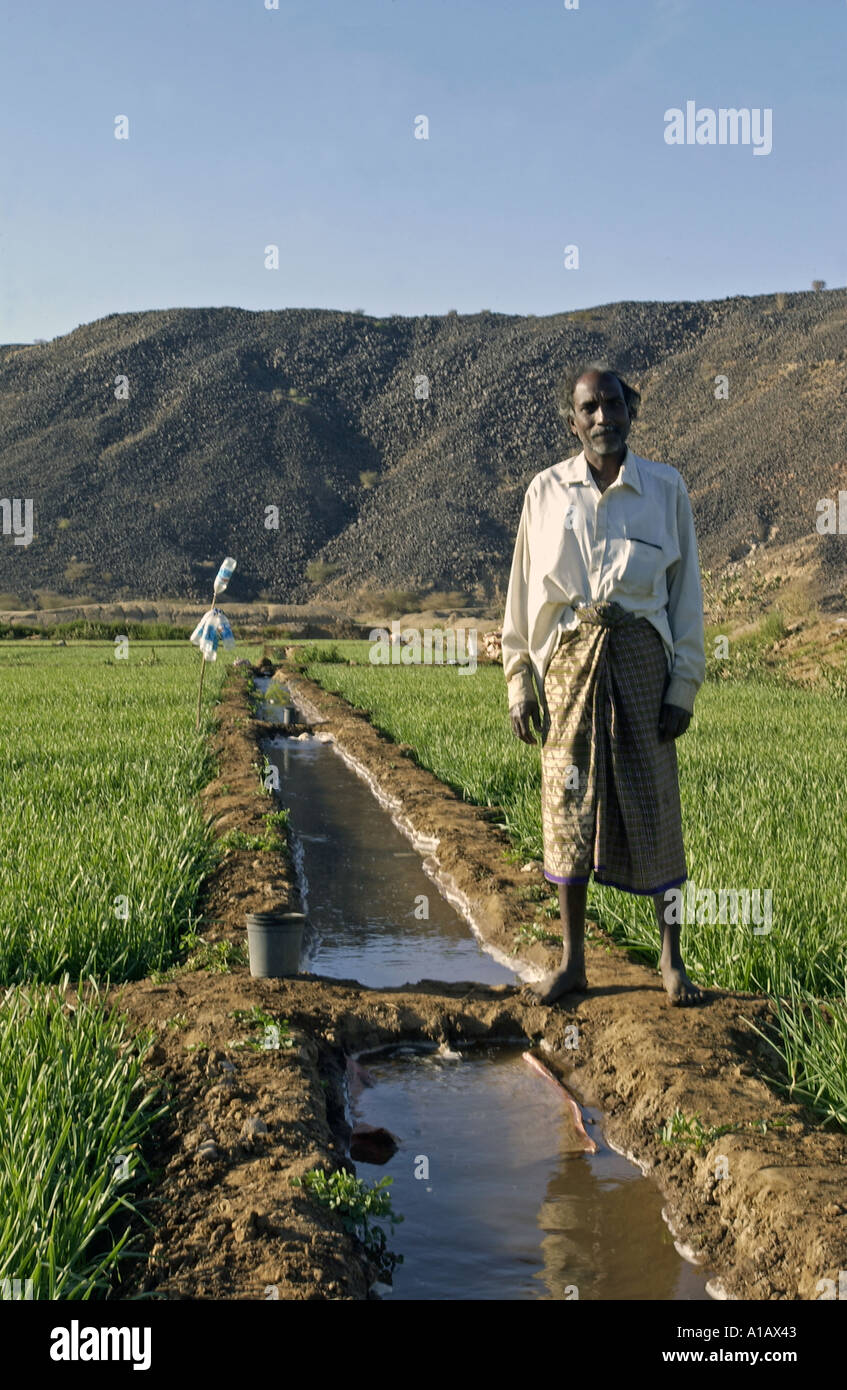 Irrigation Wadi Western Province Saudi Arabia Stock Photo - Alamy