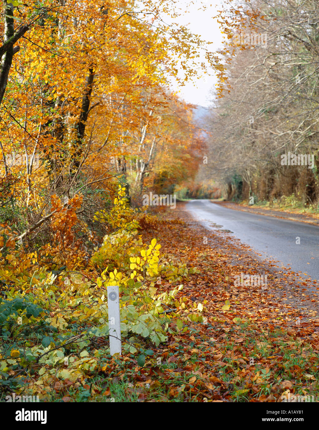 Unspoiled high country environment hi-res stock photography and images ...