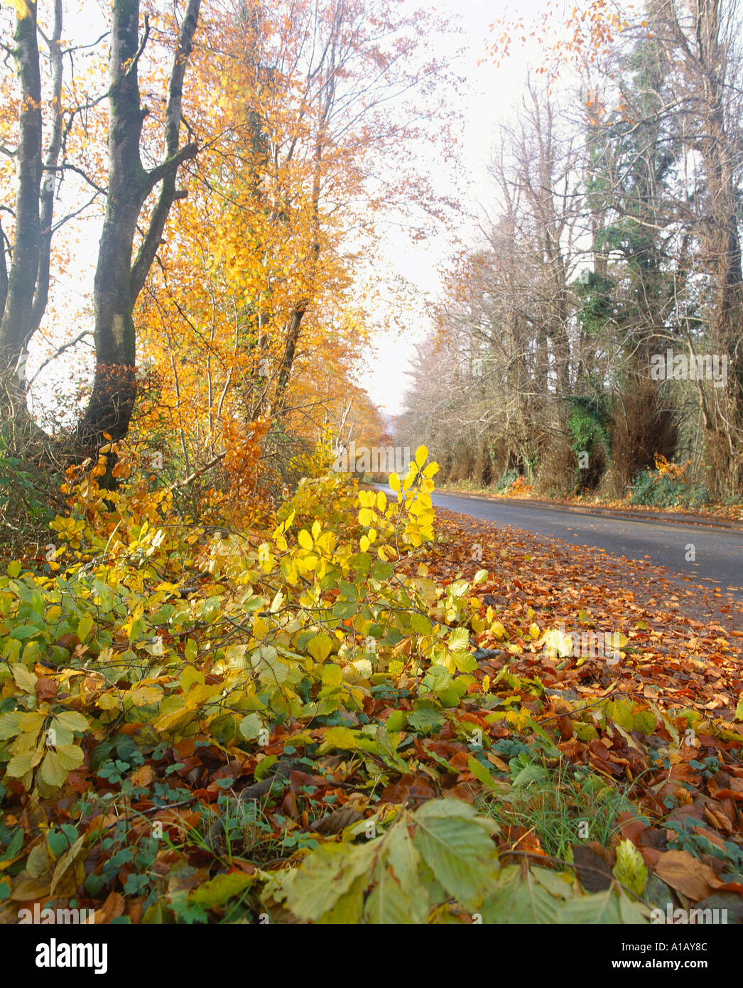 Remote rural irish border hi-res stock photography and images - Alamy