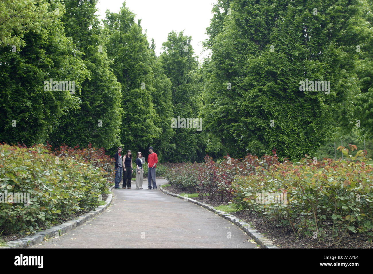 Curved path people hi-res stock photography and images - Alamy