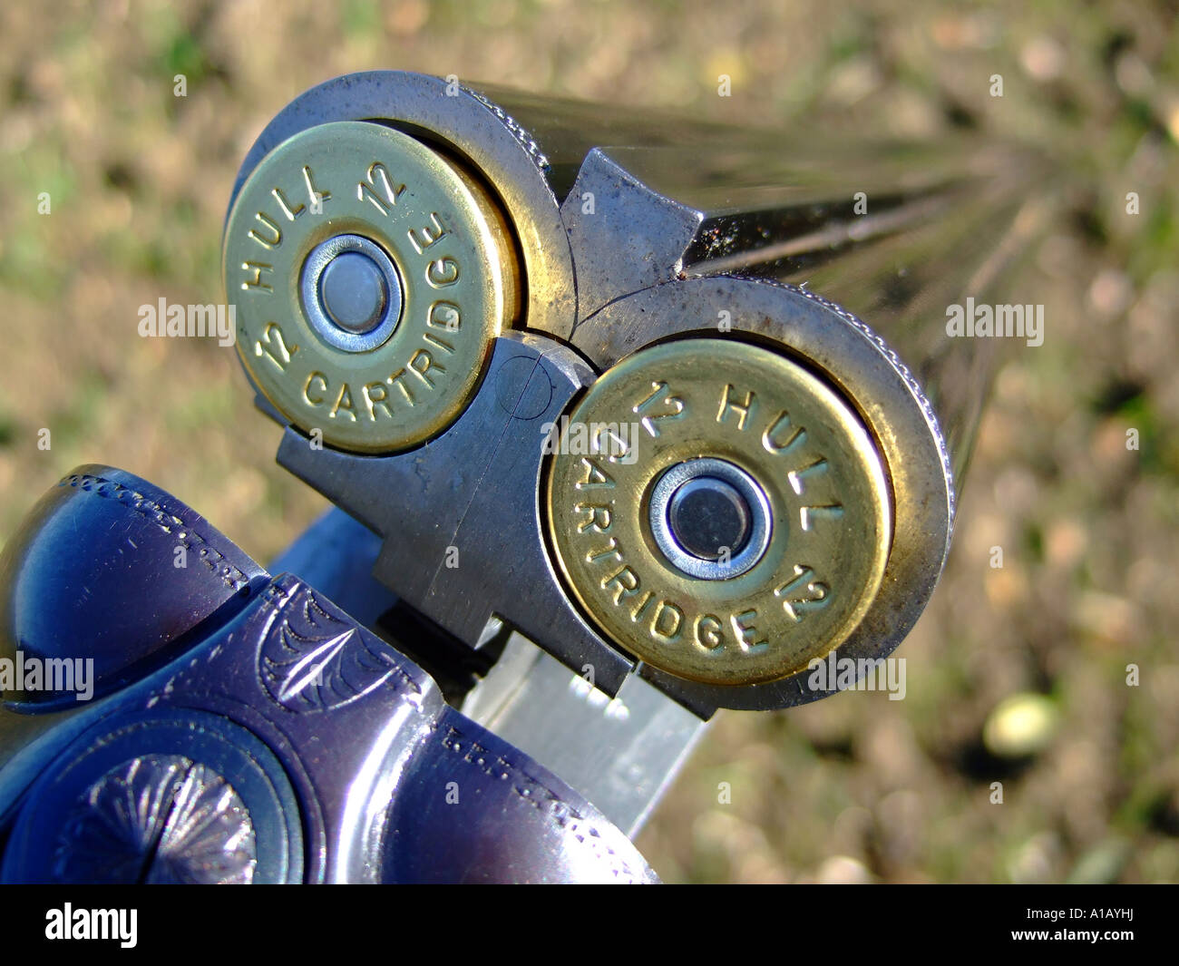 Open shotgun shells hi-res stock photography and images - Alamy