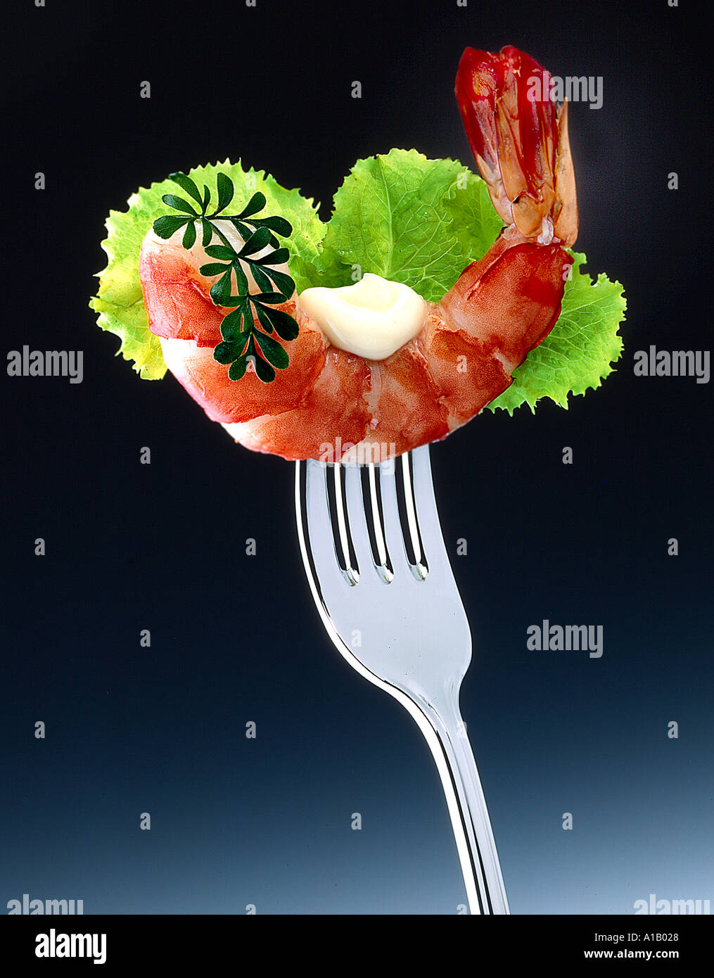 PRAWN ON FORK Stock Photo - Alamy