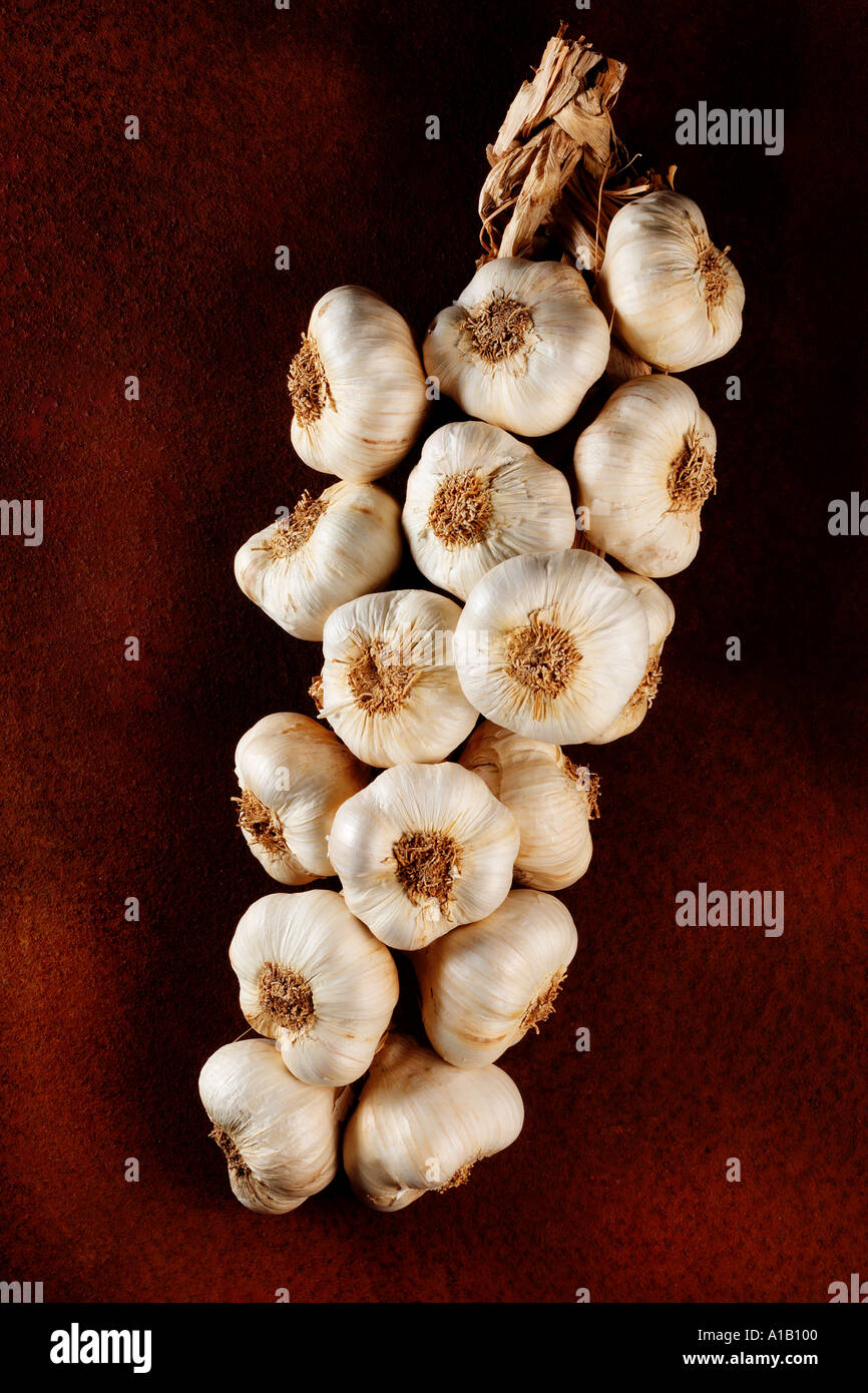 string of garlic portrait Stock Photo - Alamy