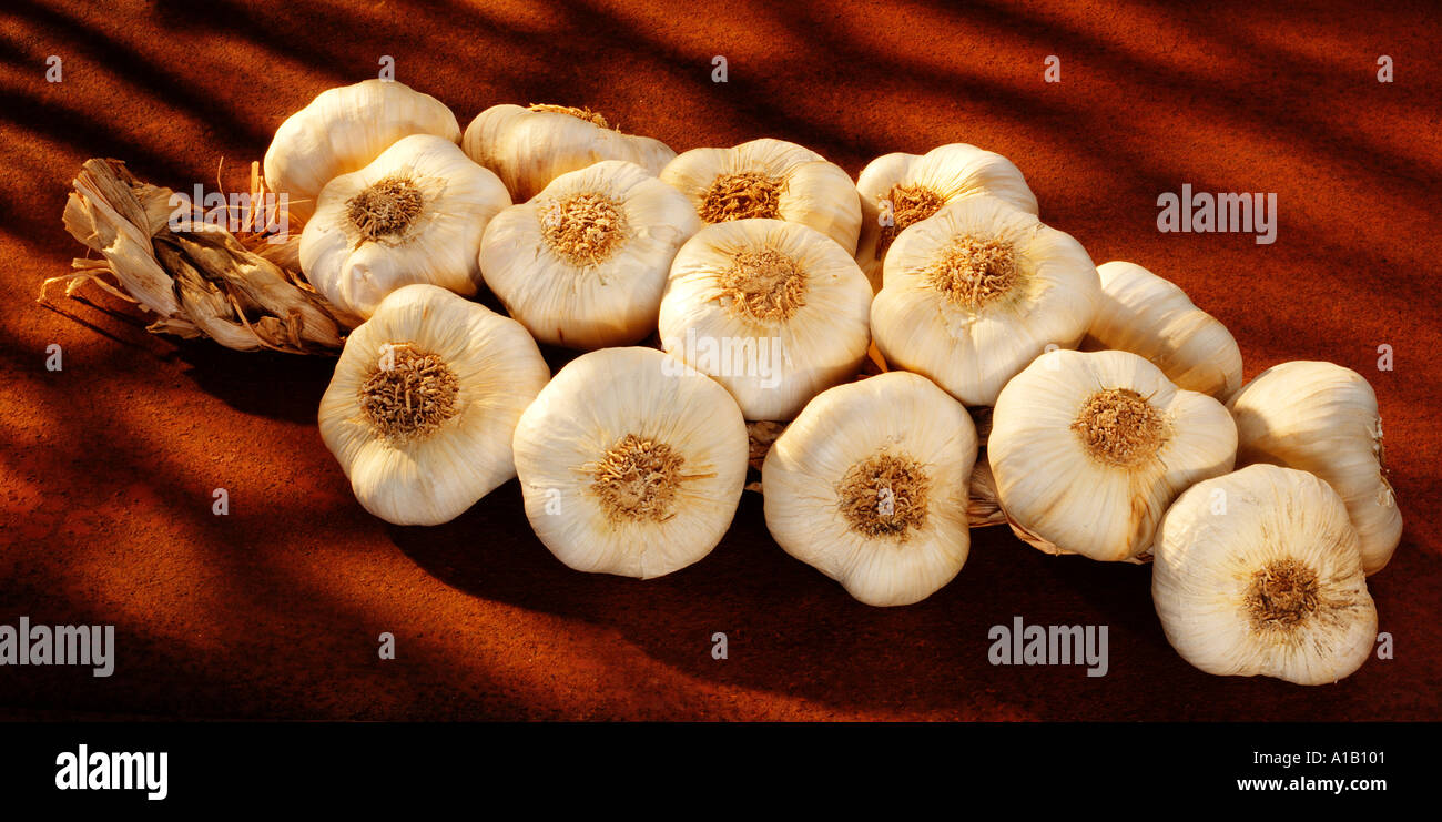 Japanese Snacks Easy Smoked Garlic Recipe Using Peeled Cloves String Of ...