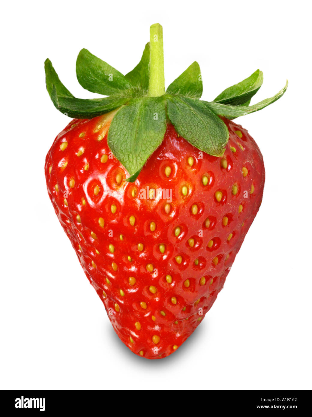 The strawberry hi-res stock photography and images - Alamy