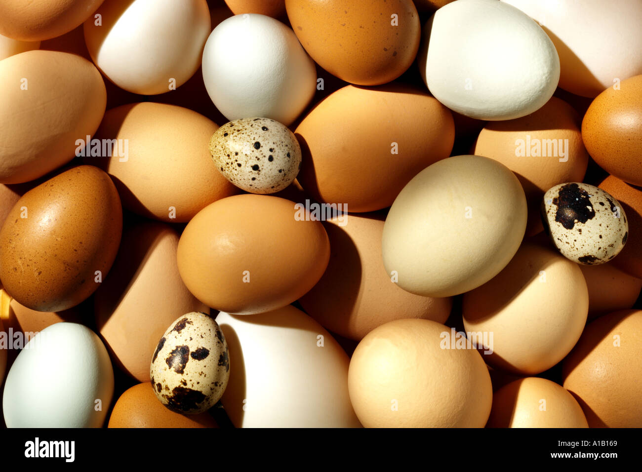 Egg selection hi-res stock photography and images - Alamy