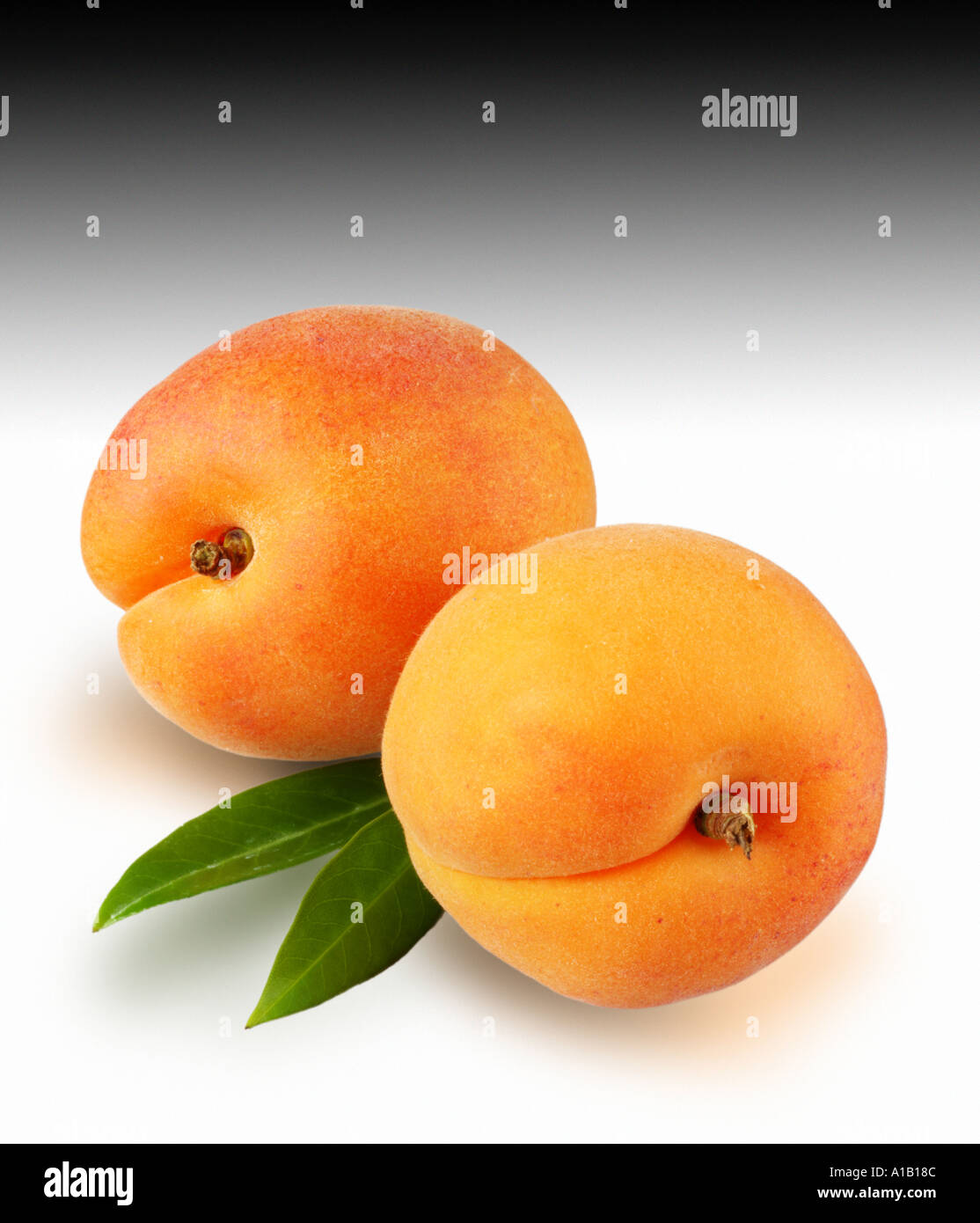 two apricots on grad Stock Photo - Alamy
