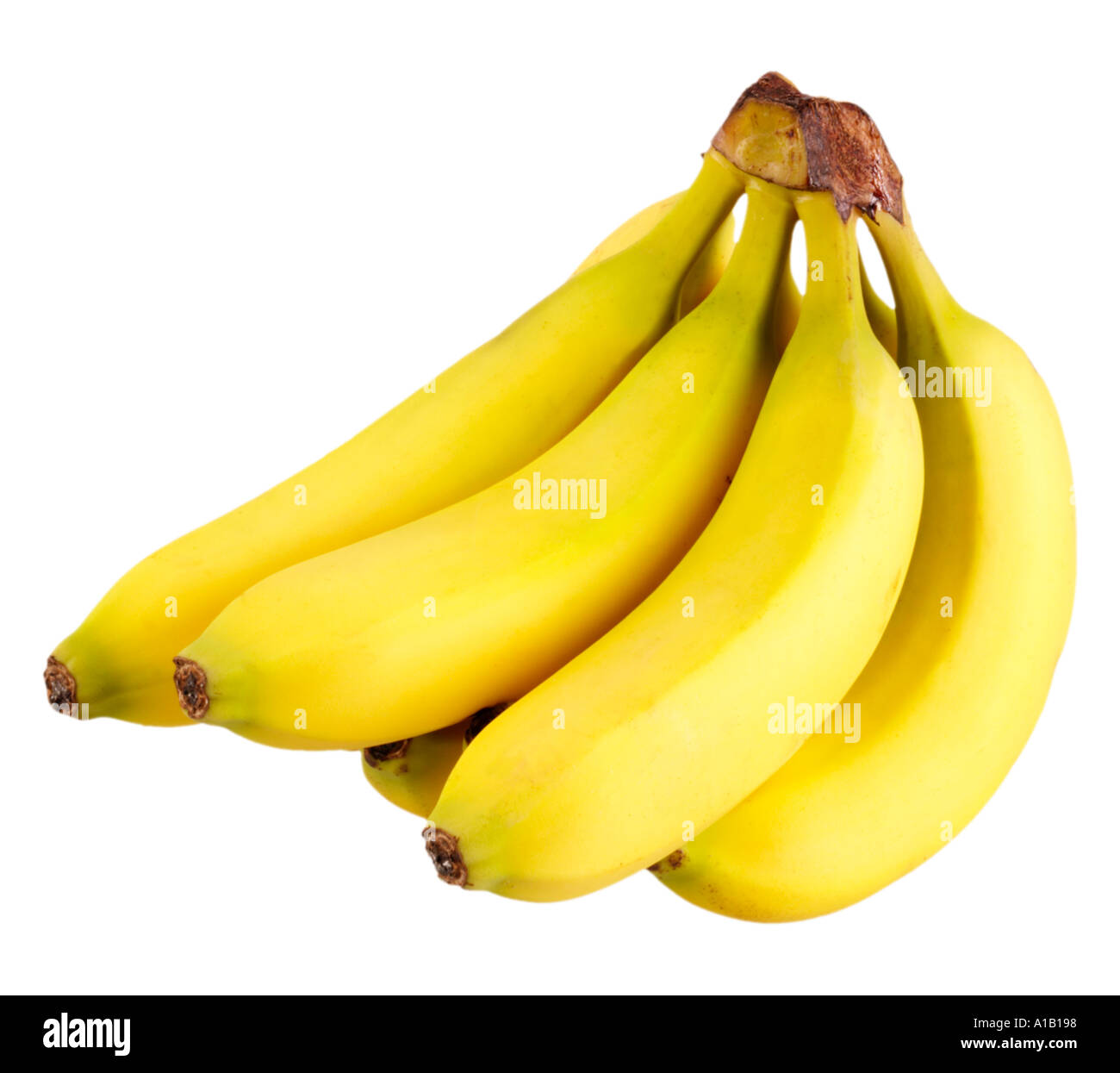 BUNCH OF BANANAS Stock Photo - Alamy