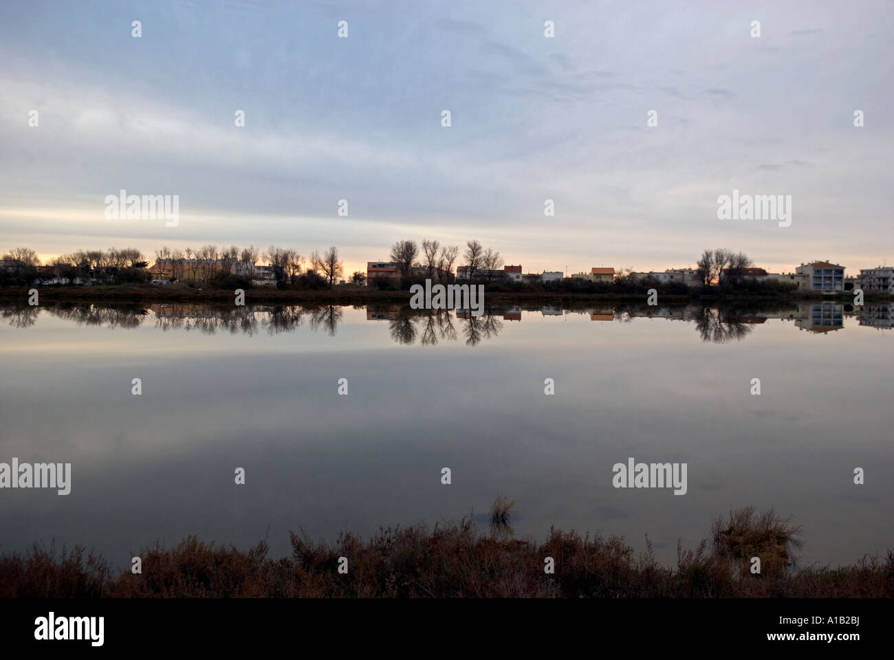 a treeline with houses is reflected in a salt lake in palavas, france ...
