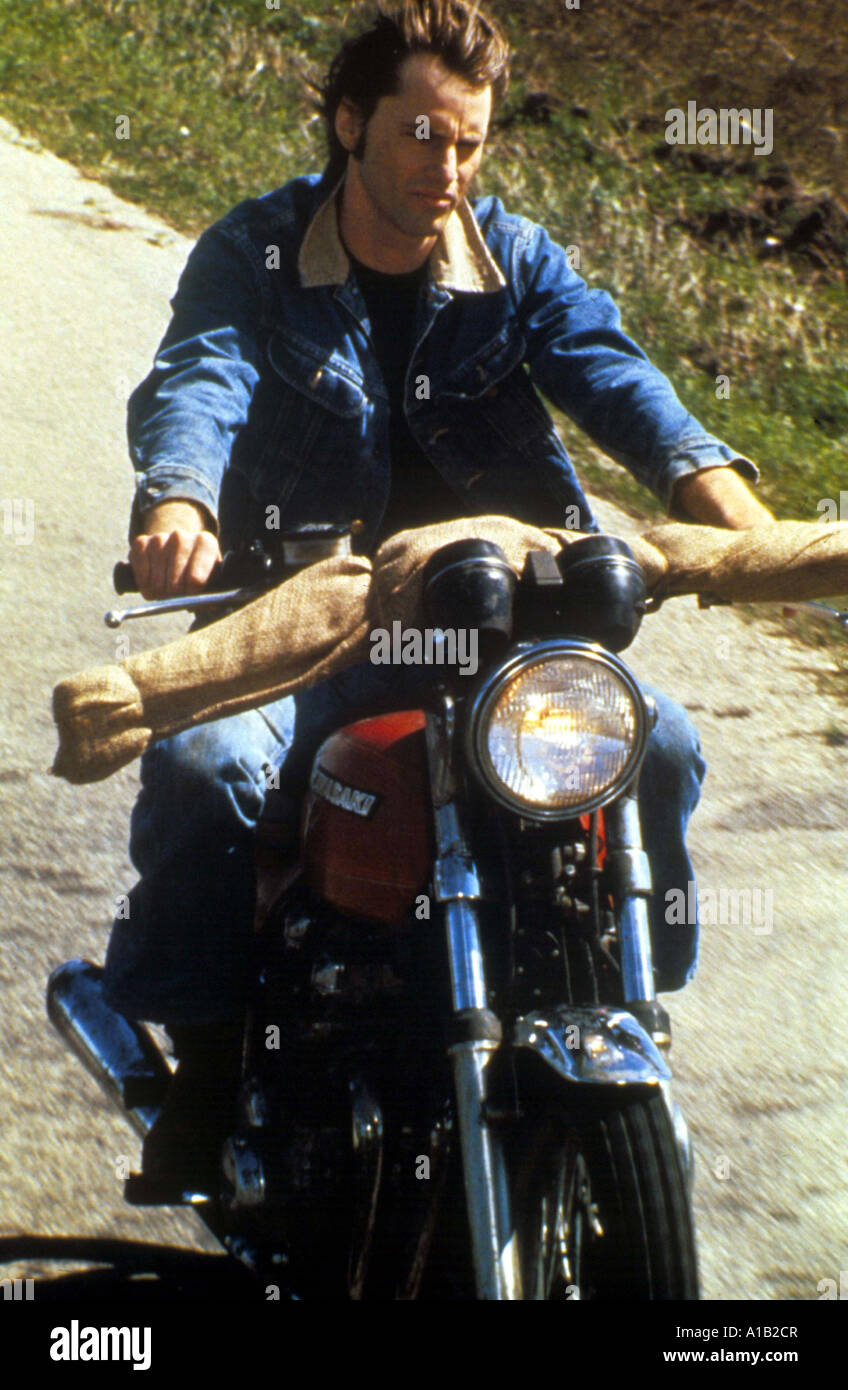 Resurrection Year 1980 Director Daniel Petrie Sam Shepard Stock Photo ...
