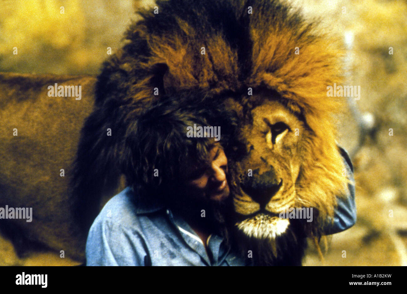 Roar 1981 noel marshall hi-res stock photography and images - Alamy