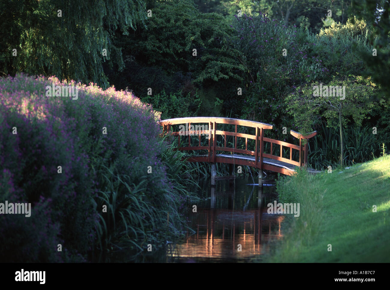 Japanese Bridge over garden stream Stock Photo - Alamy