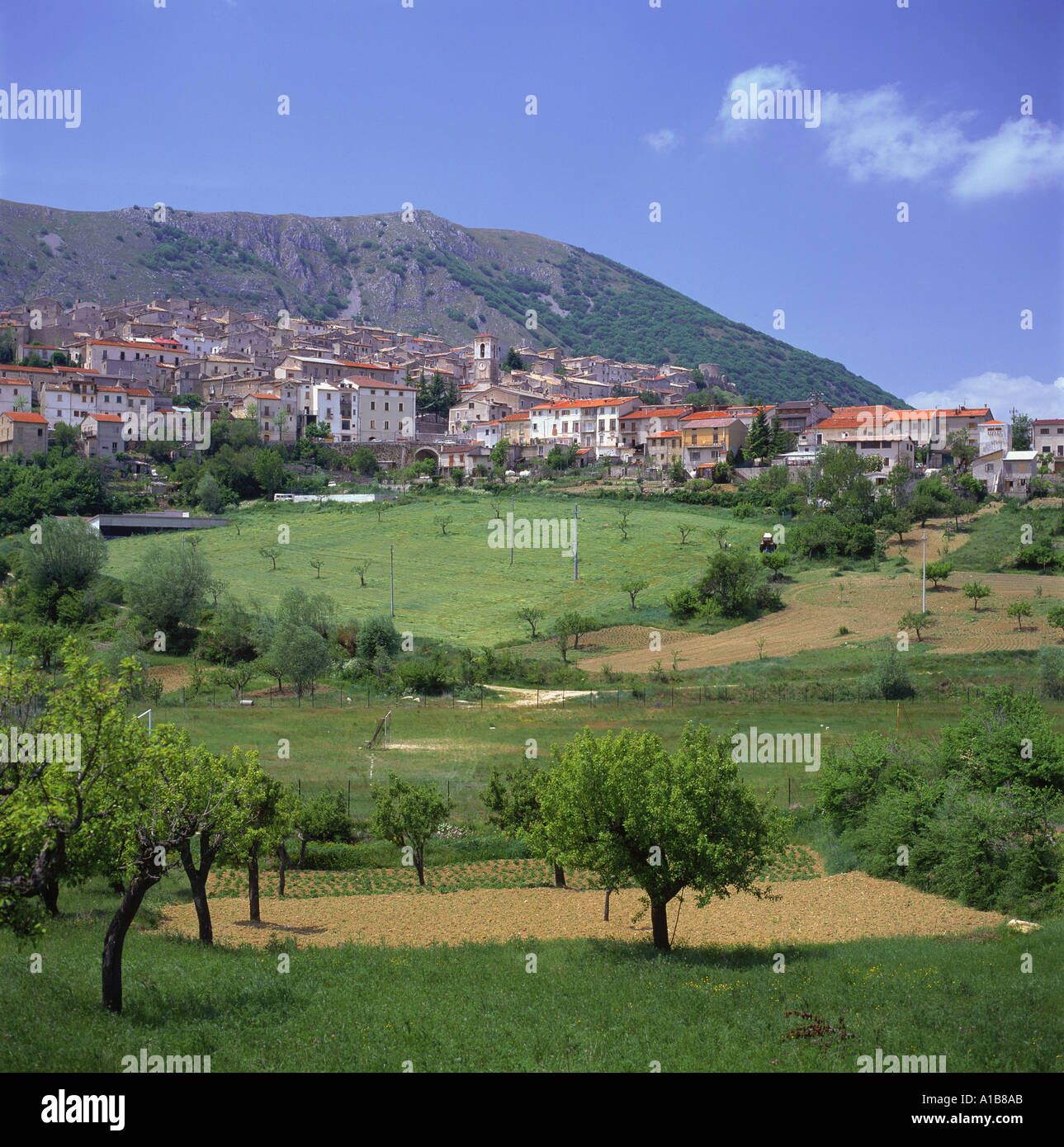 Fields below the town of Ortona dei Marsi in Abruzzo Italy T Gervis ...