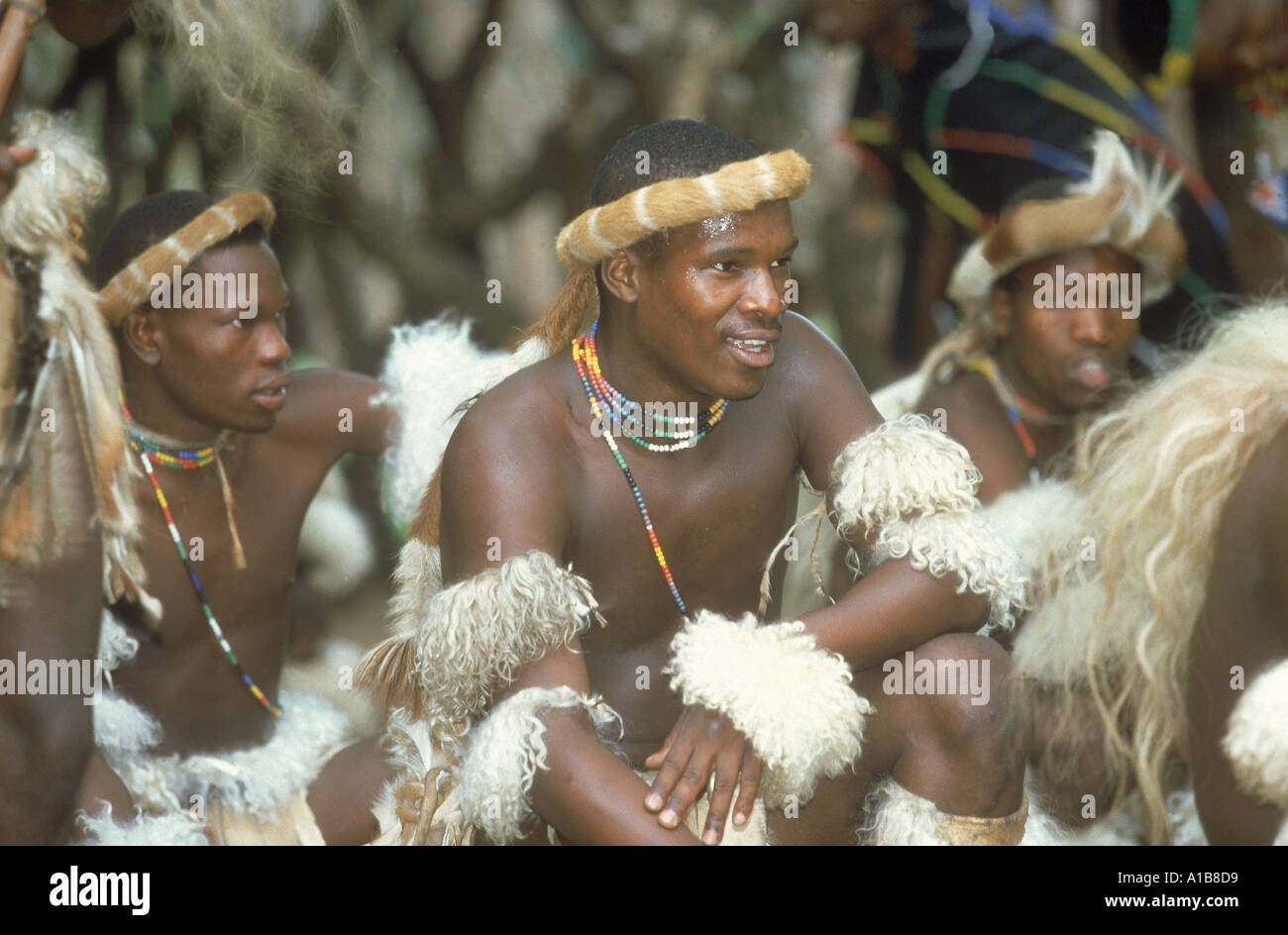 Zulu dances Dumazulu village Maputaland South Africa A Evrard Stock ...