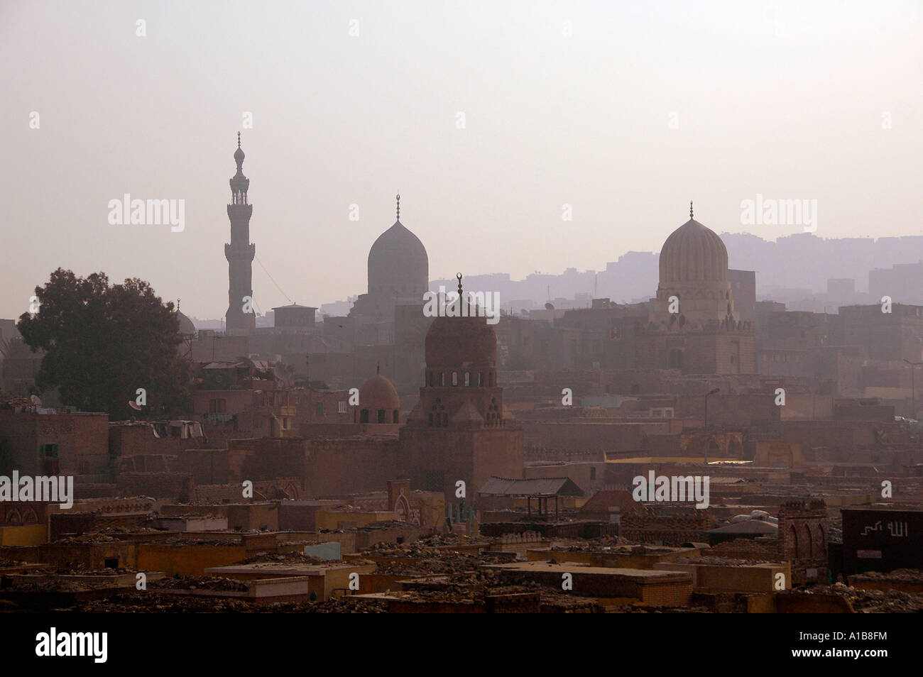 Skyline of towering minarets and bulbous domes of medieval Islamic ...