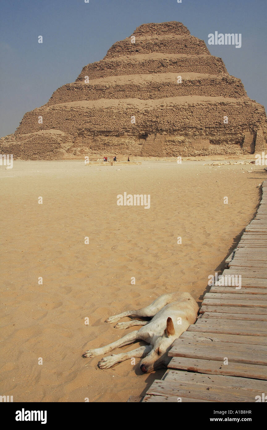 Ancient egypt tomb dog hi-res stock photography and images - Alamy