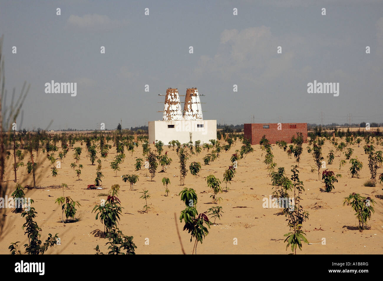Egyptian Agriculture Stock Photos & Egyptian Agriculture Stock Images ...