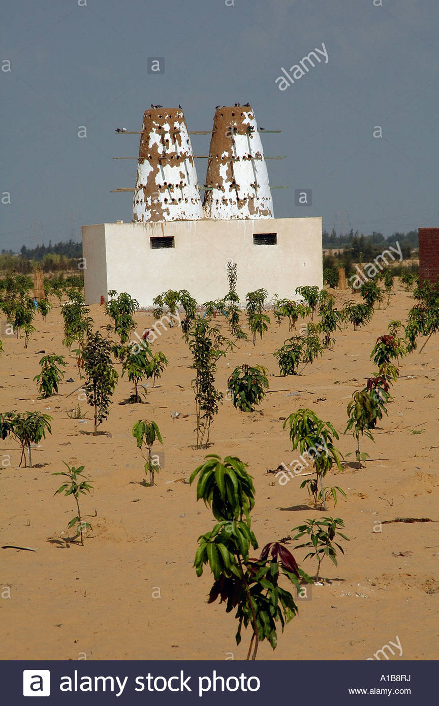 Egyptian Agriculture Stock Photos & Egyptian Agriculture Stock Images ...