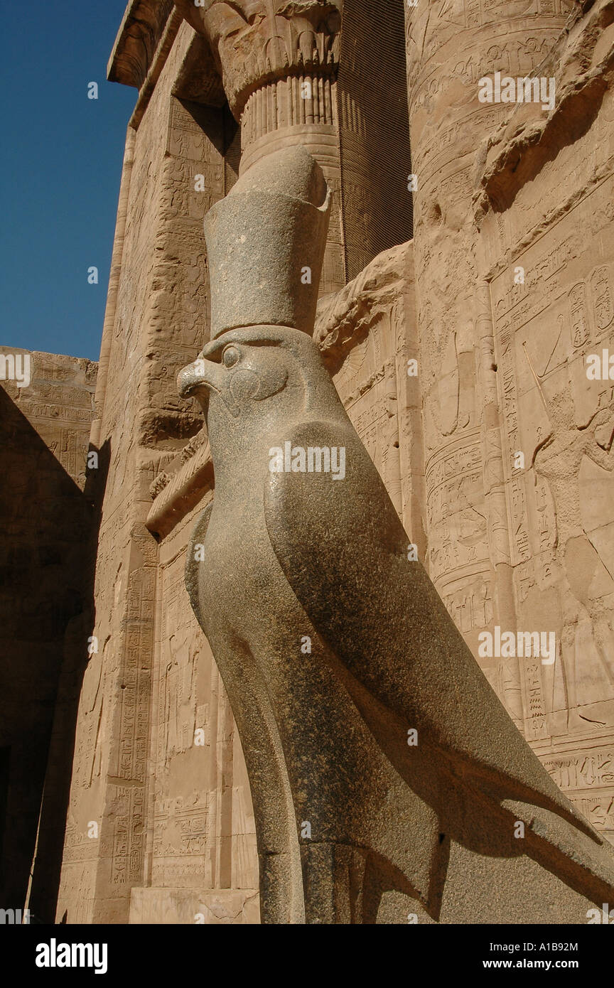 A falcon granite statue of Horus at the Hypostyle Hall in Edfu temple ...