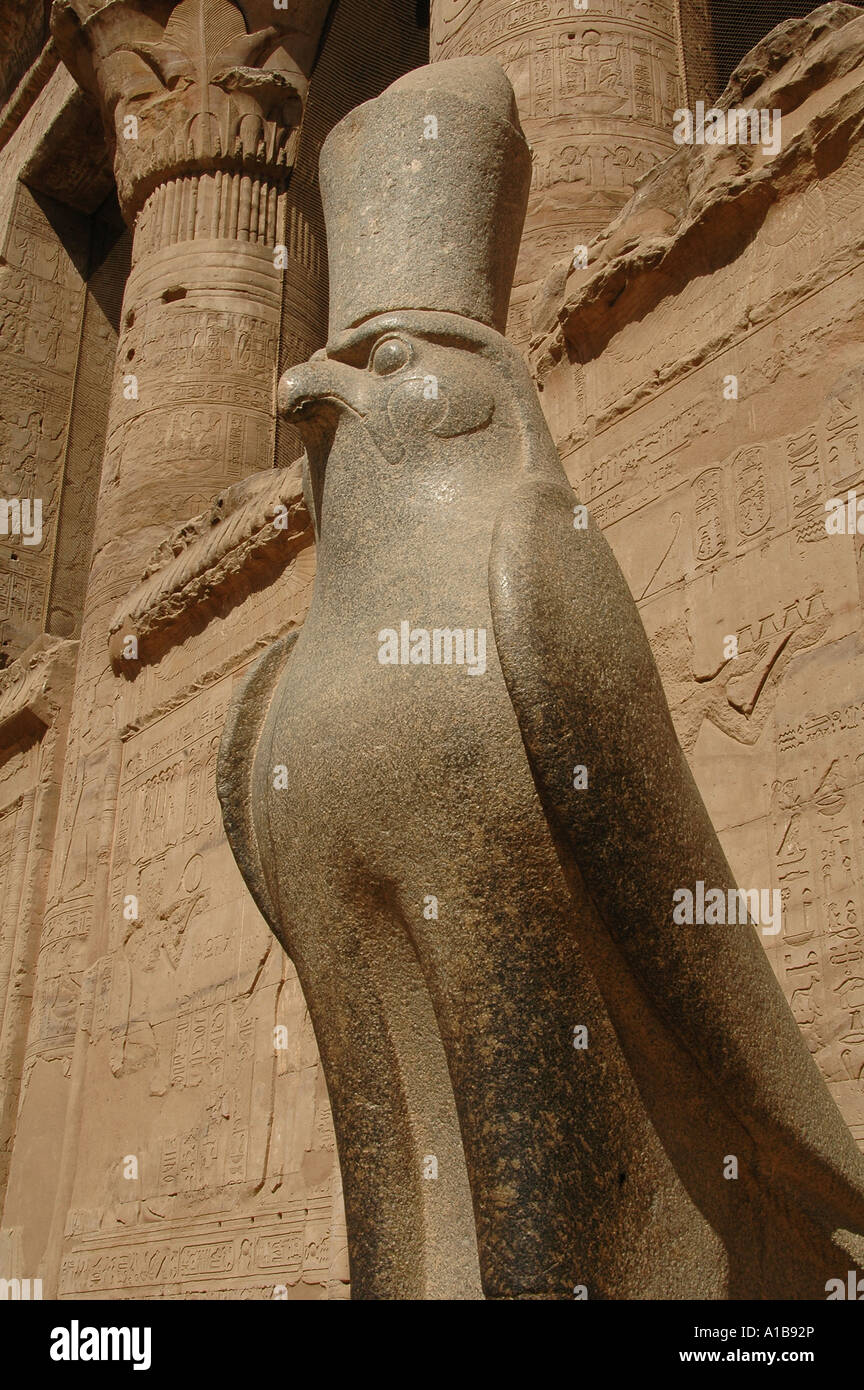 A falcon granite statue of Horus at the Hypostyle Hall in Edfu temple ...