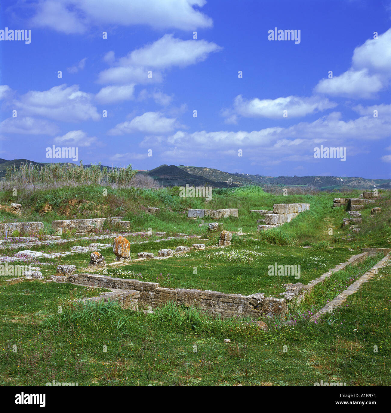Ancient olympic games athletes hi-res stock photography and images - Alamy