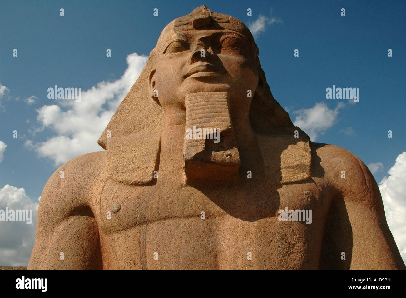 Huge statue of Ramesses II at the ancient temple site of Tanis in ...