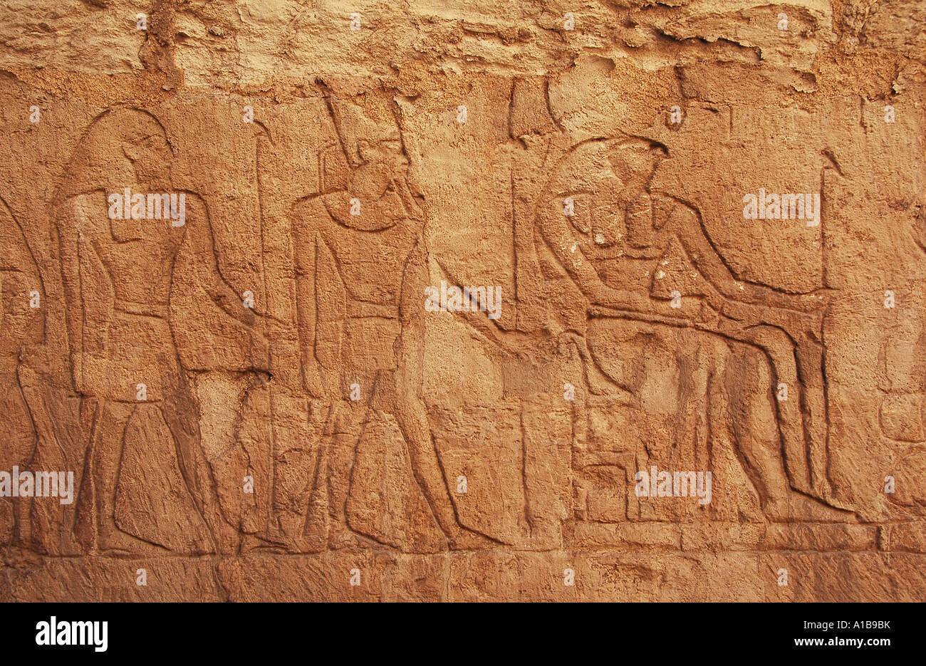 Carved mural at the ancient temple site of Tanis in eastern Nile river ...