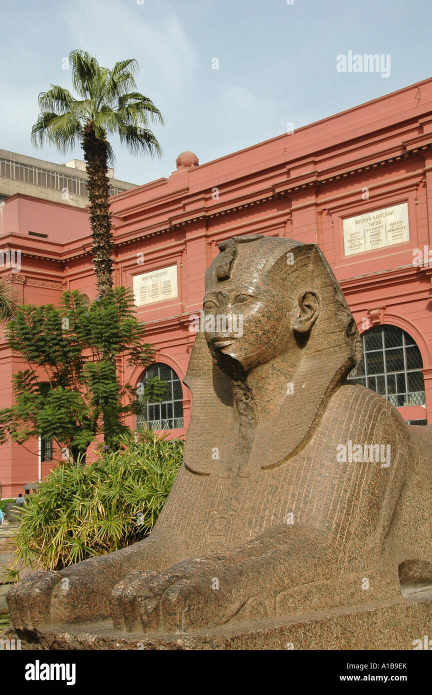 A Sphinx displayed at the courtyard of the Museum of Egyptian ...