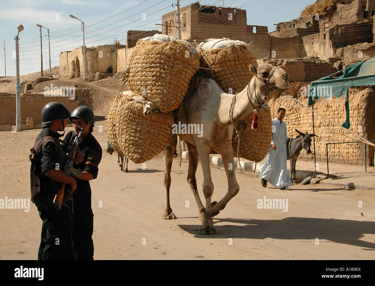 Camel carrying hi-res stock photography and images - Alamy