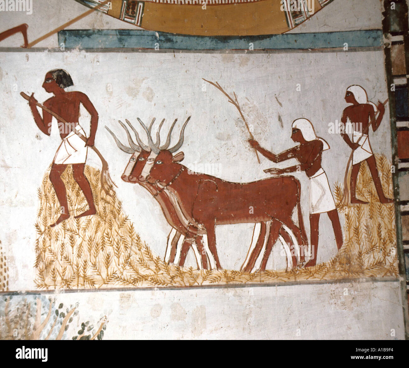 Detail from the Tomb of Menna Thebes Egypt Africa R Ashworth Stock ...