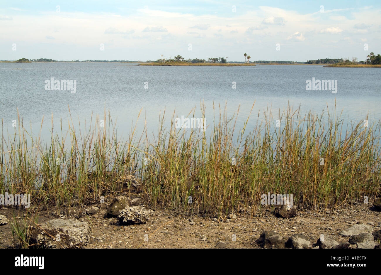 Withlacoochee river hi-res stock photography and images - Alamy