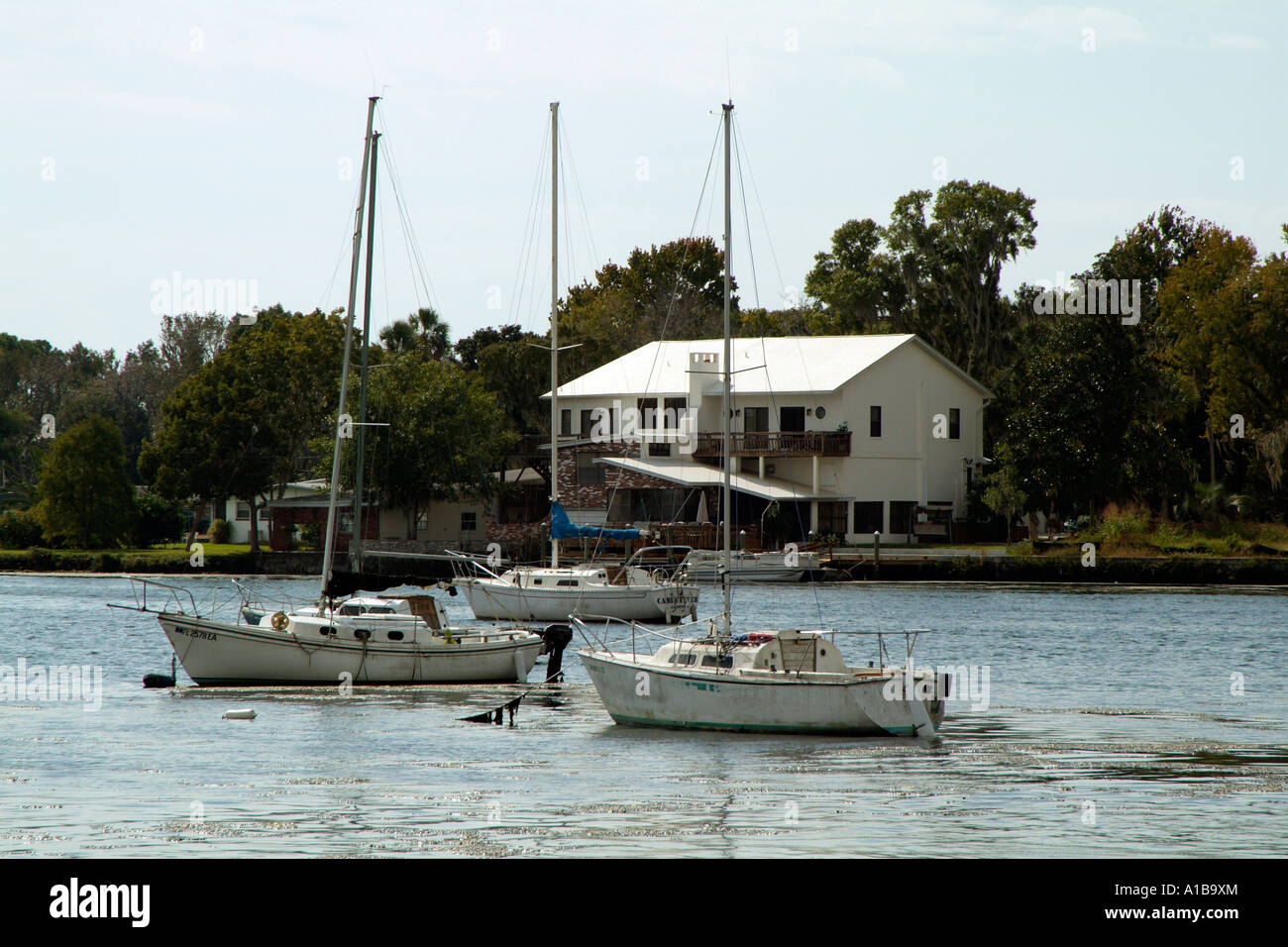 Crystal River in Citrus County Florida USA Stock Photo - Alamy