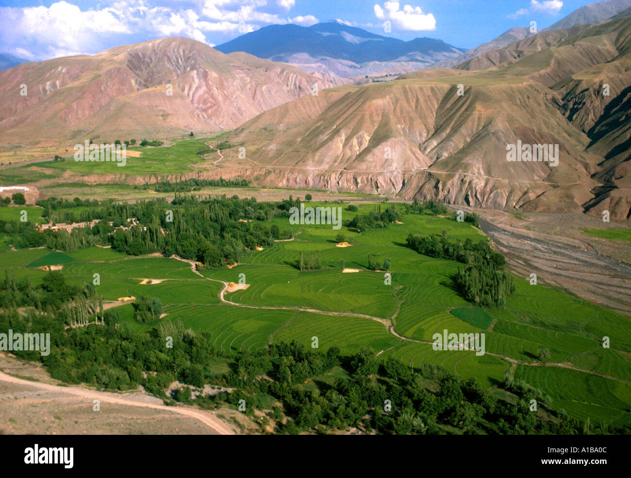 Rice paddys and terracing in a valley in the Shahrak region Iran Middle ...